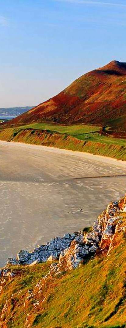 Local Activities in Swansea | The Grand Hotel Swansea